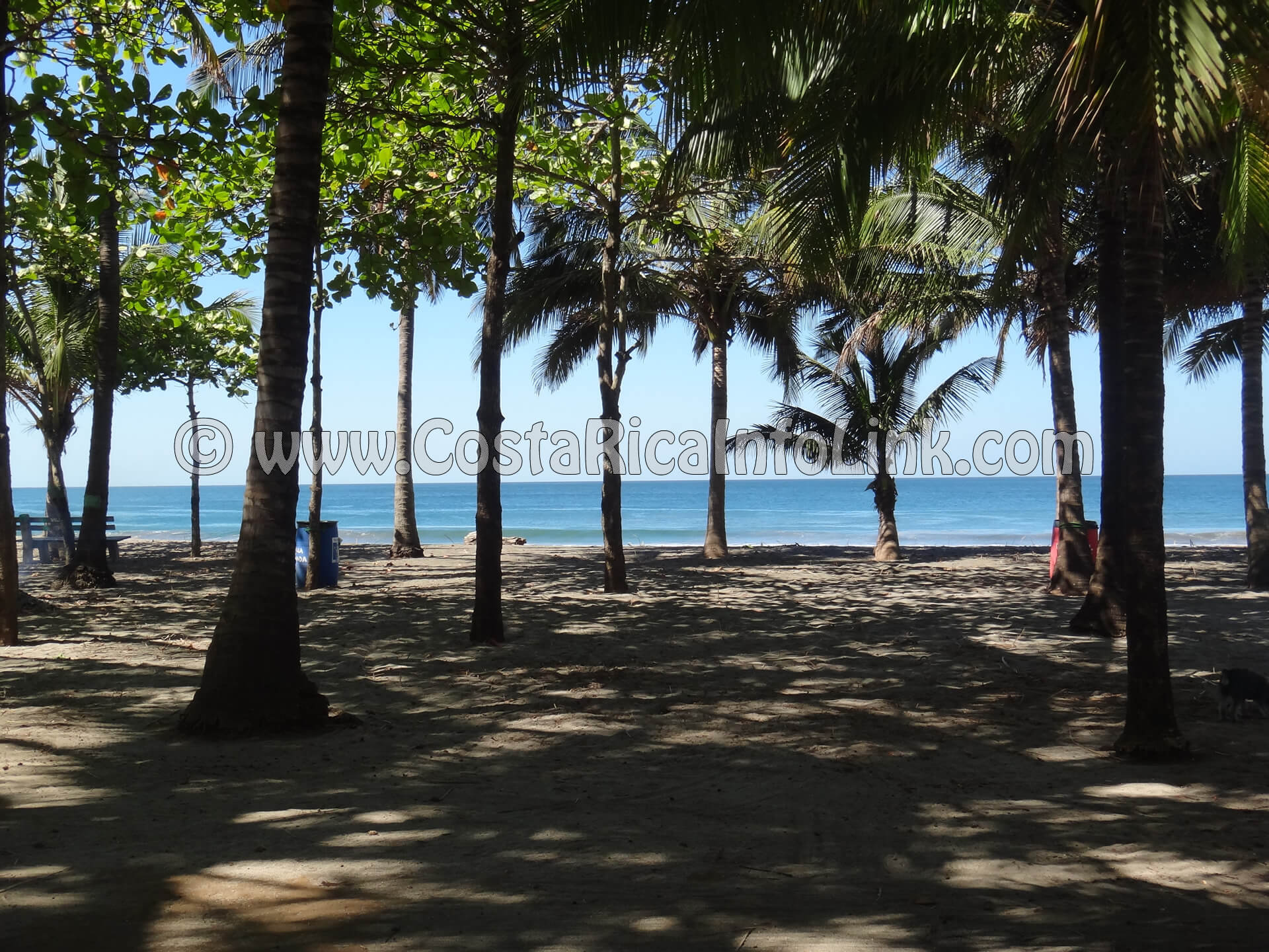 Junquillal Beach Costa Rica Tourist Information