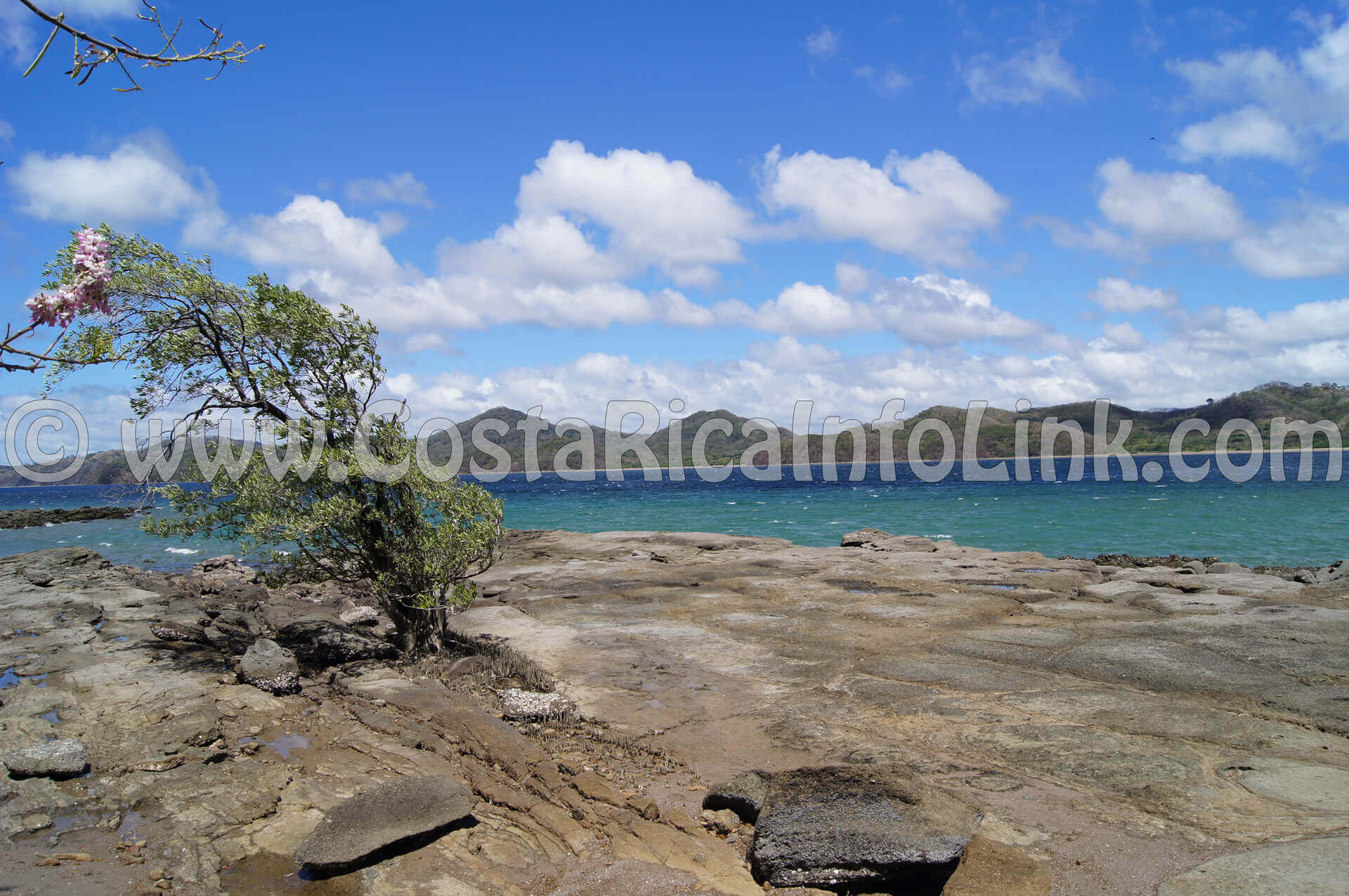 Junquillal Bay Beach in Santa Elena, La Cruz, Guanacaste, Costa Rica