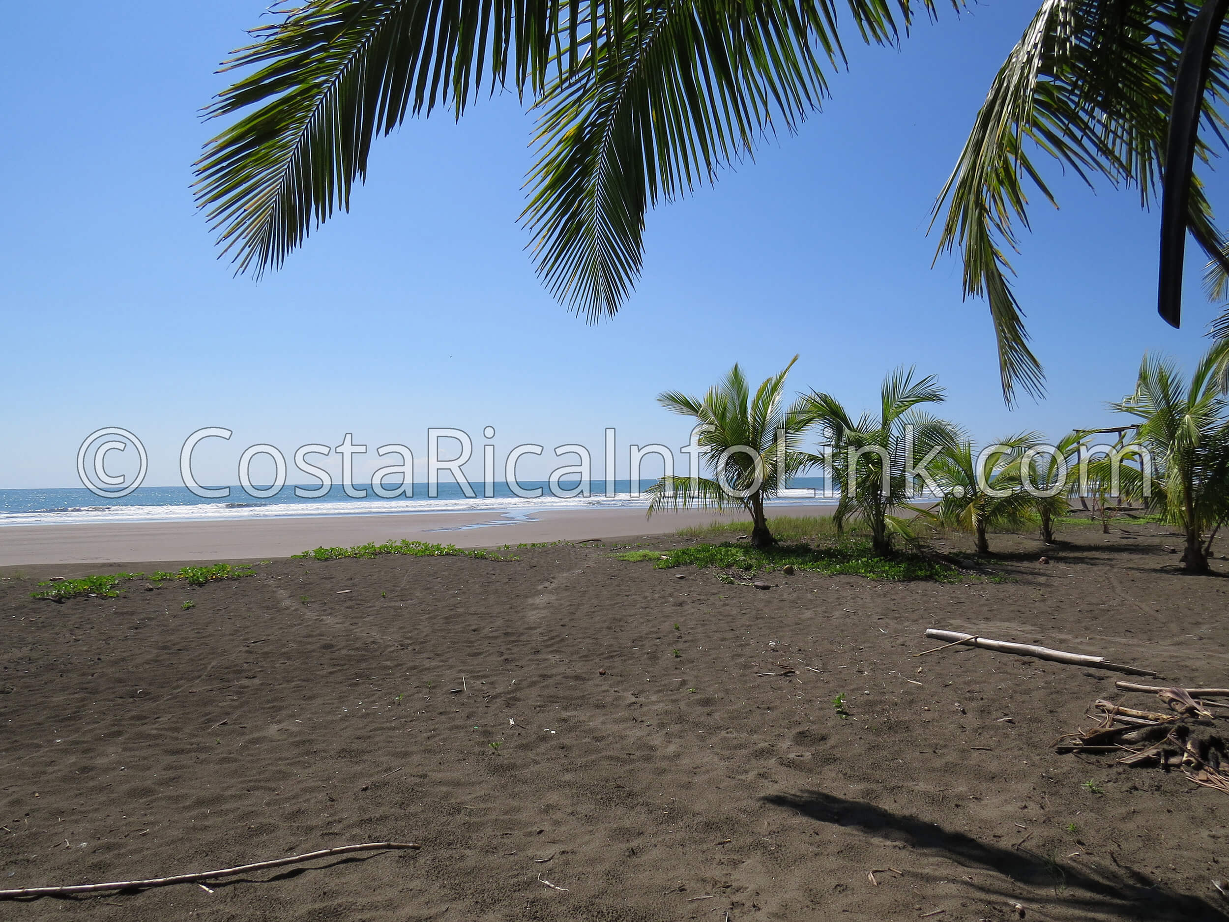 Palma Beach Costa Rica.