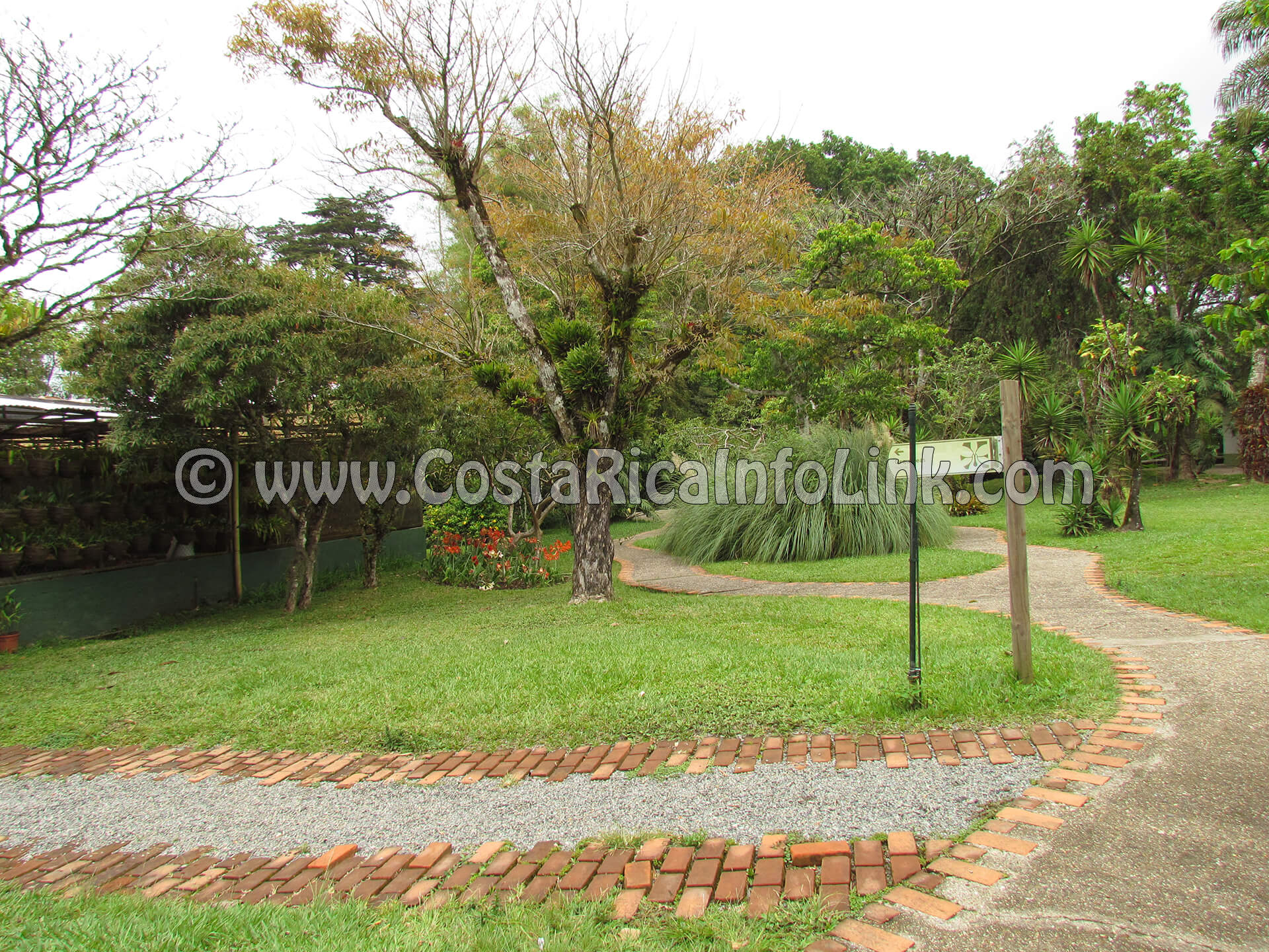 Jardín Botánico Lankester Costa Rica - Horario, Fotos, Dirección, Bus