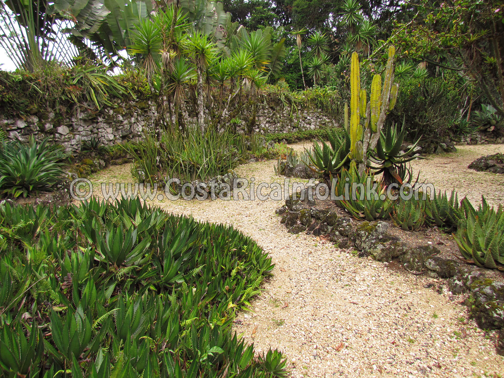 Jardín Botánico Lankester Costa Rica - Horario, Fotos, Dirección, Bus