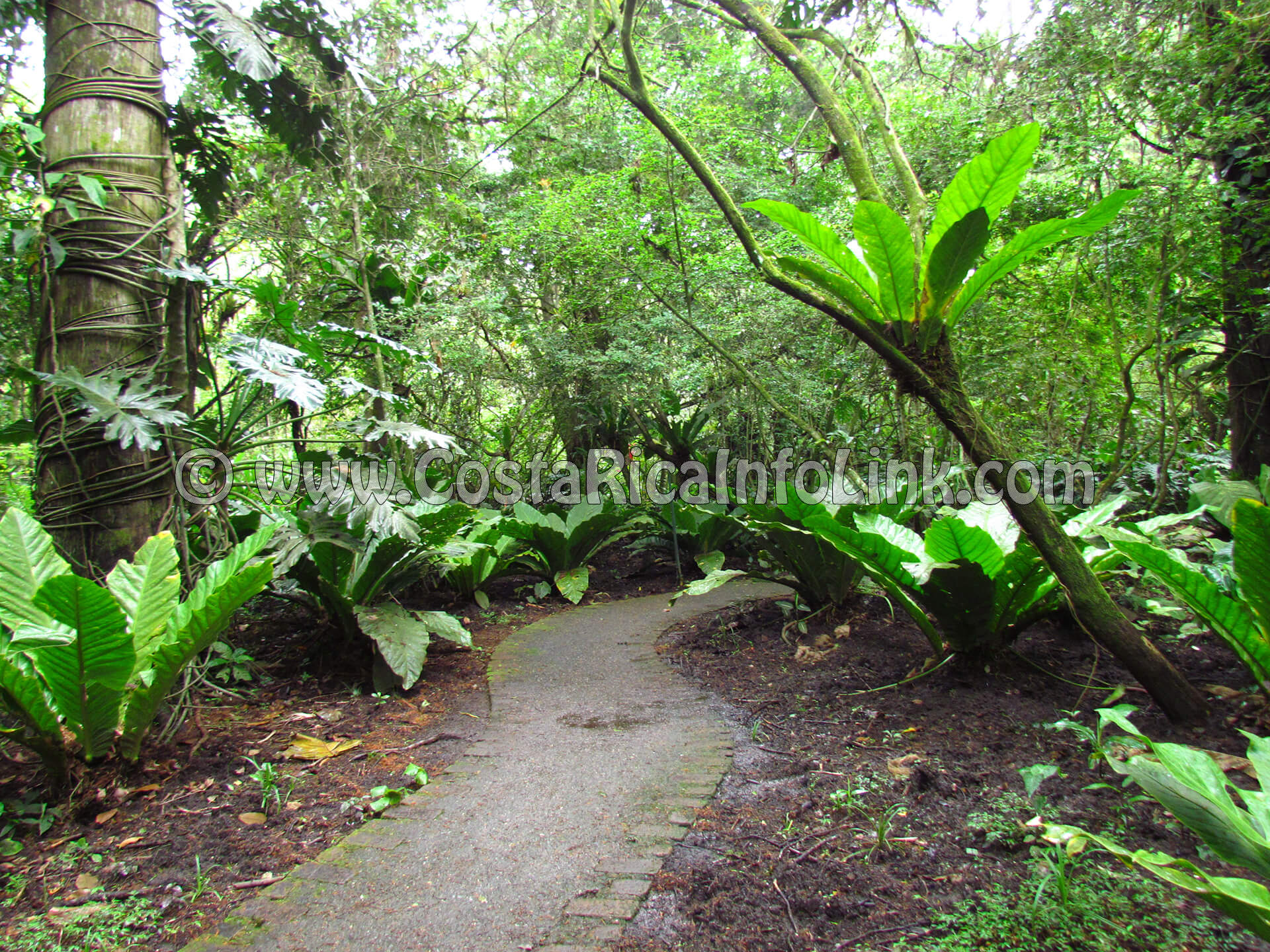 Jardín Botánico Lankester Costa Rica - Horario, Fotos, Dirección, Bus