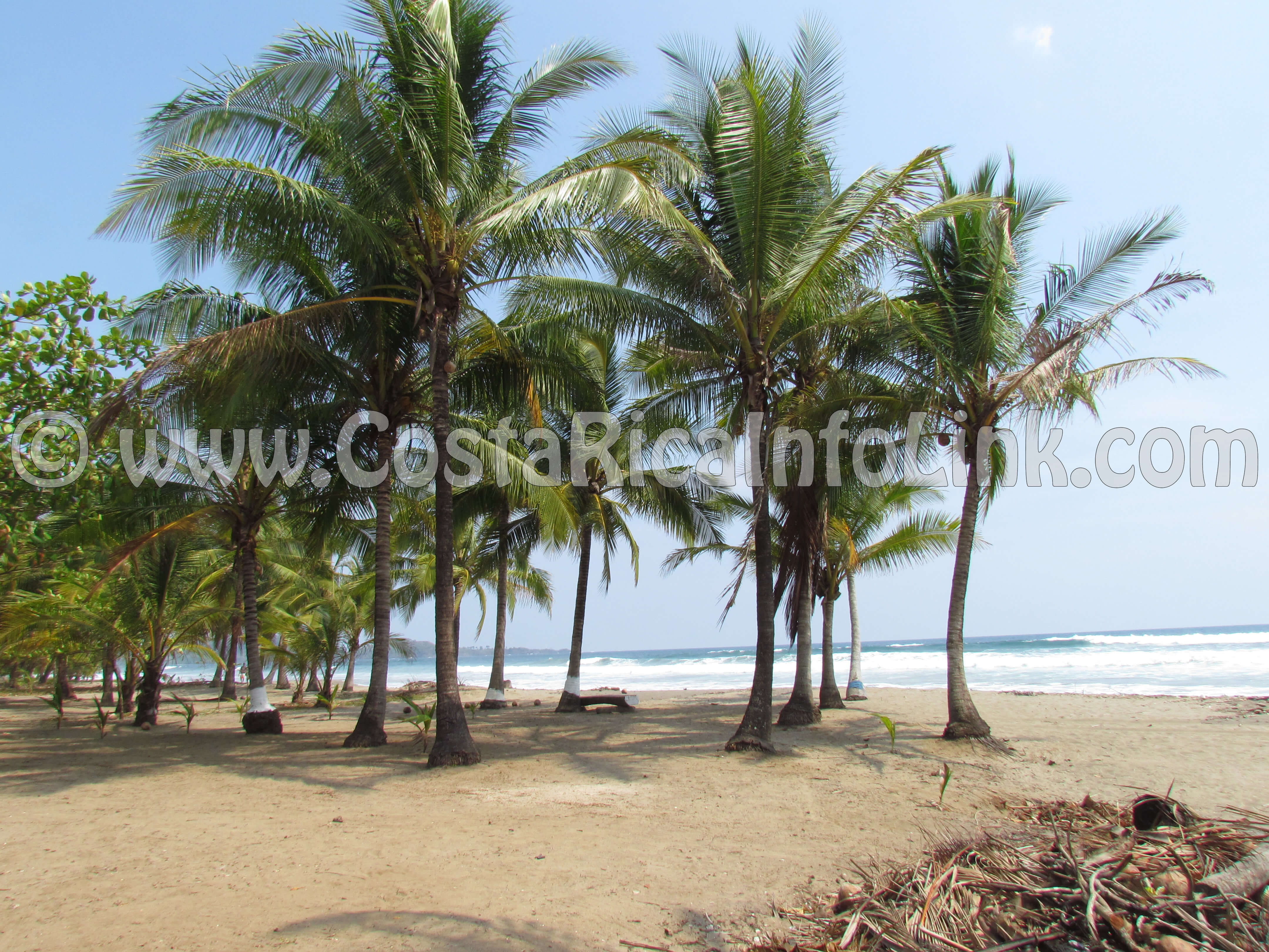 Información Turística de Playa Coyote Costa Rica
