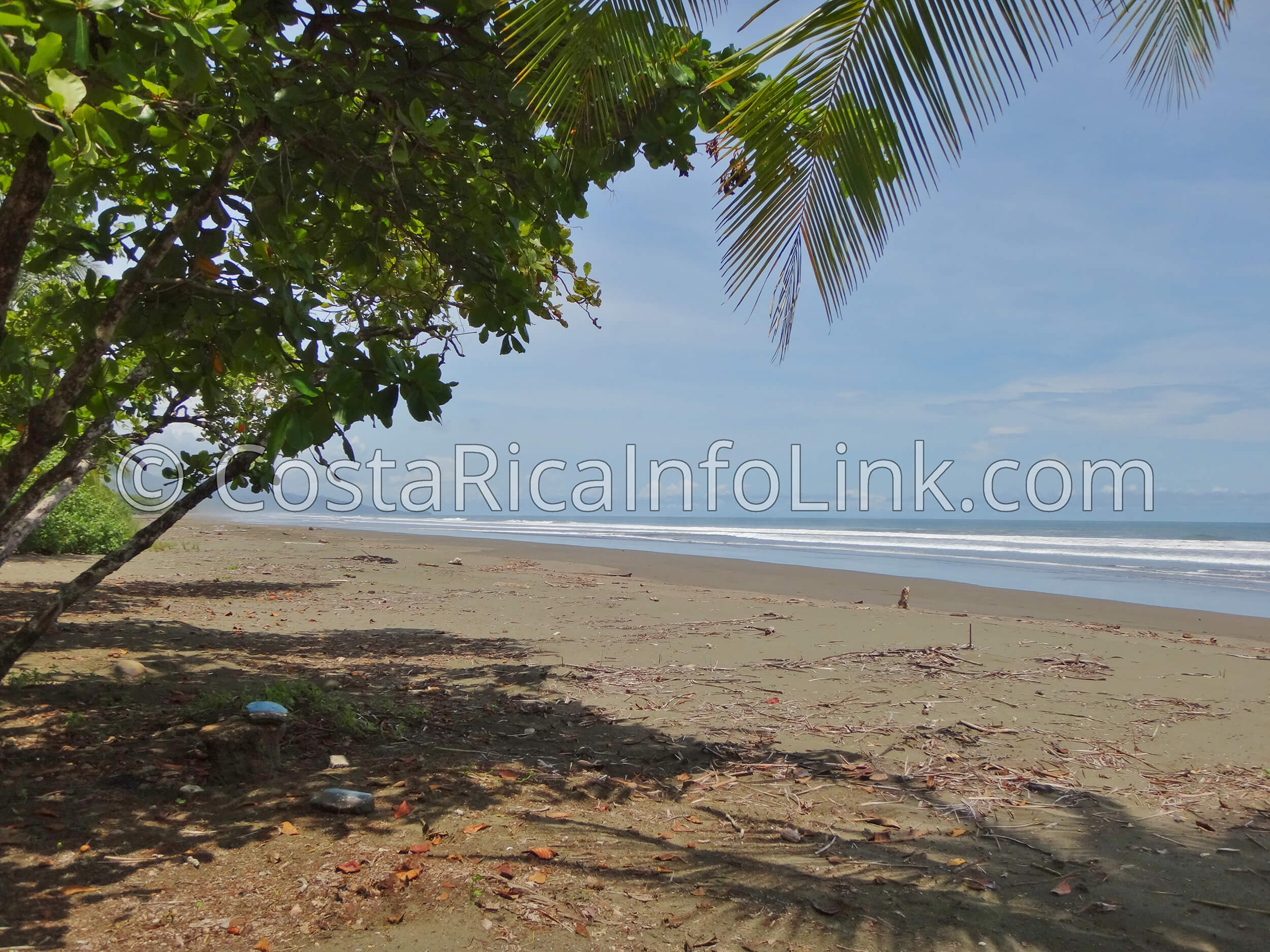Playa Matapalo Costa Rica - Información, Mapa, Bus, Video