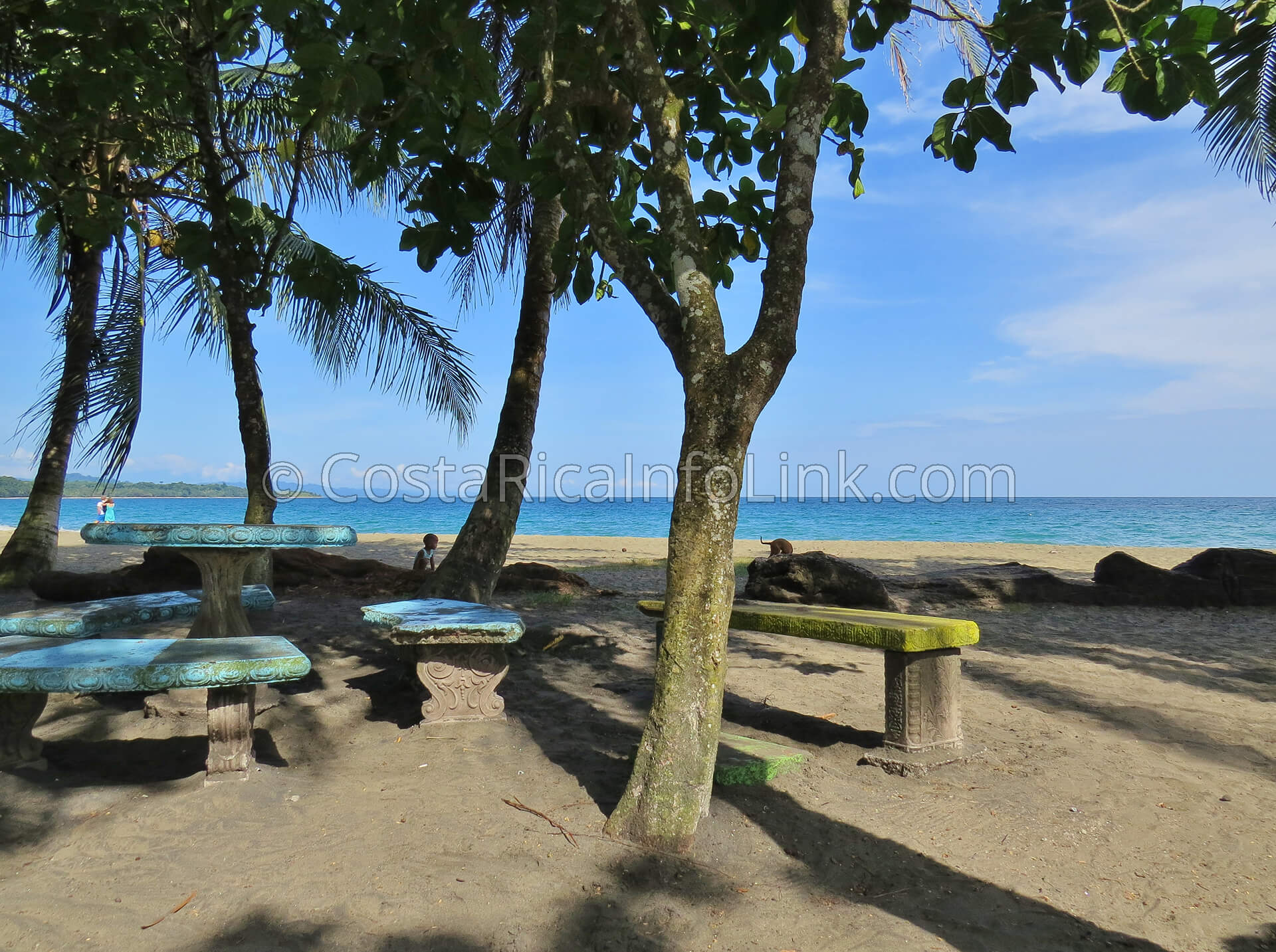 Playa Manzanillo Costa Rica - Fotos, Video, Bus, Ubicación