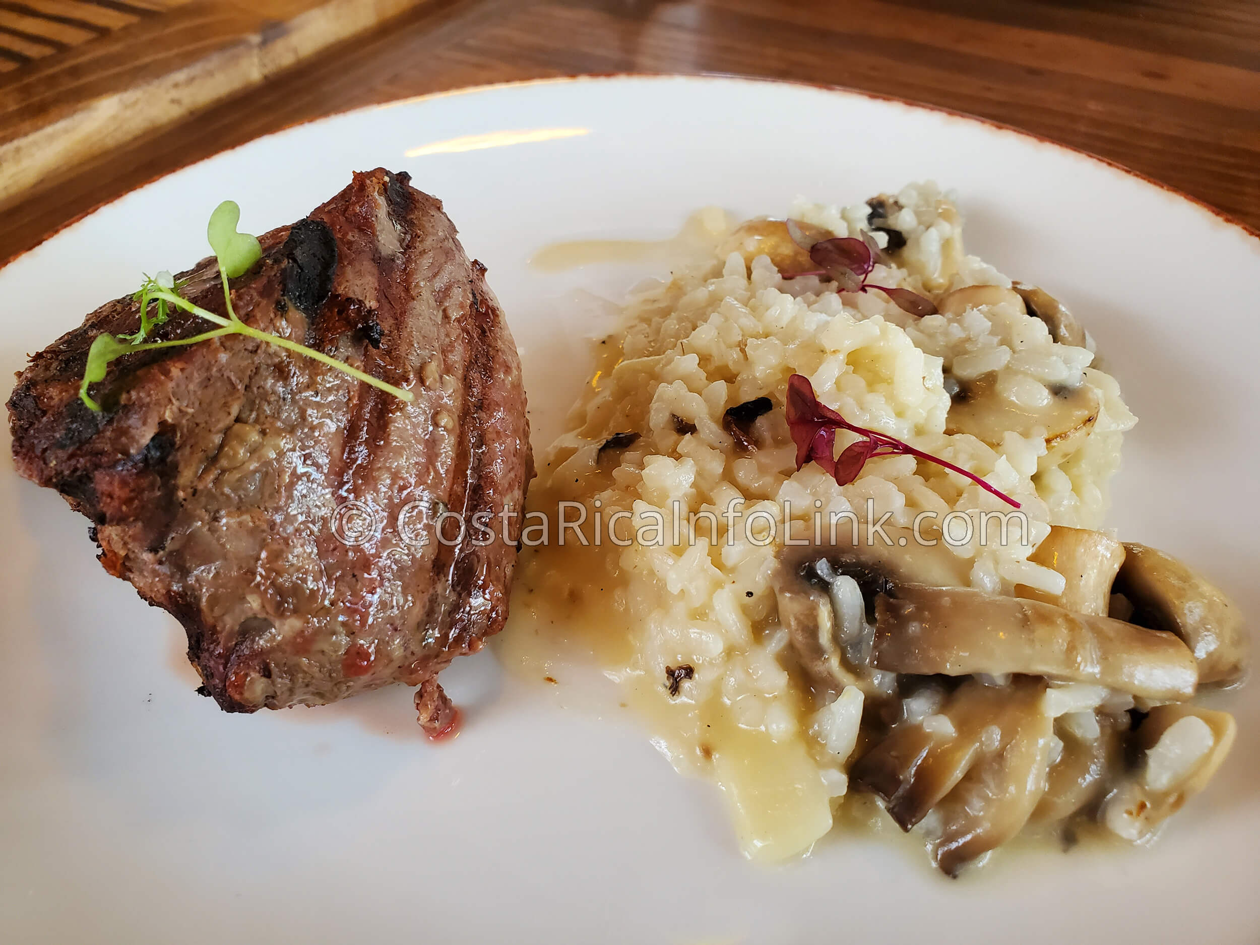 Caffé Negroni - Menú, Horario, Dirección, Teléfono