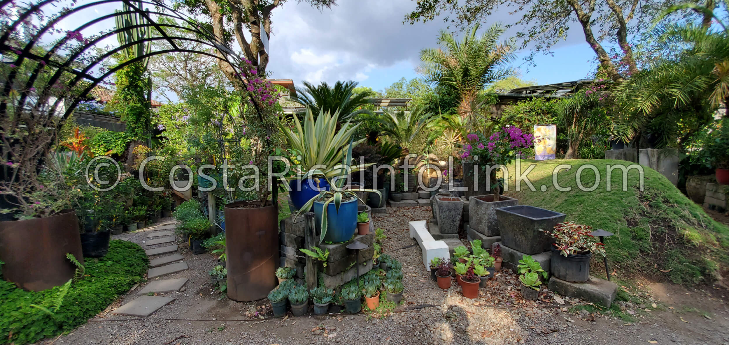 Proverde Café y Vivero - Menú, Horario, Dirección, Teléfono